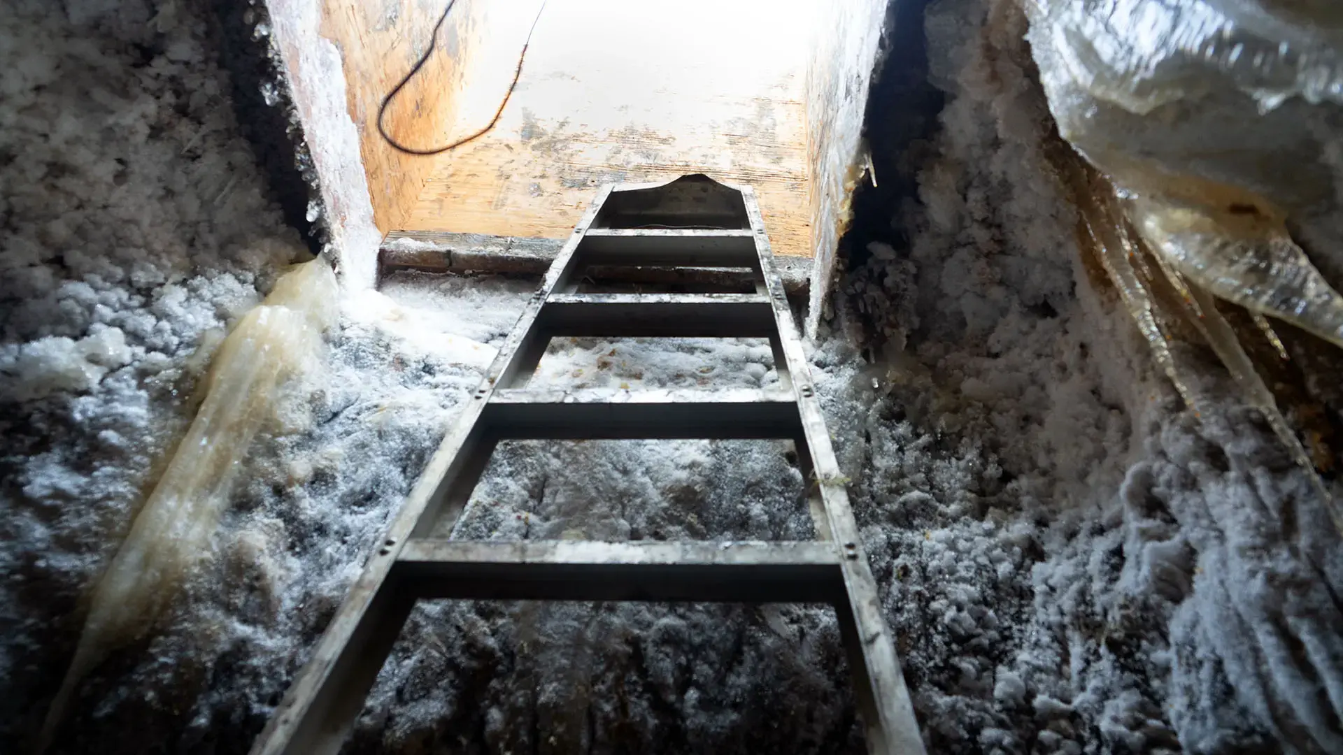 Indigenous Alaskans Drive Research in a Melting Arctic | Pulitzer Center