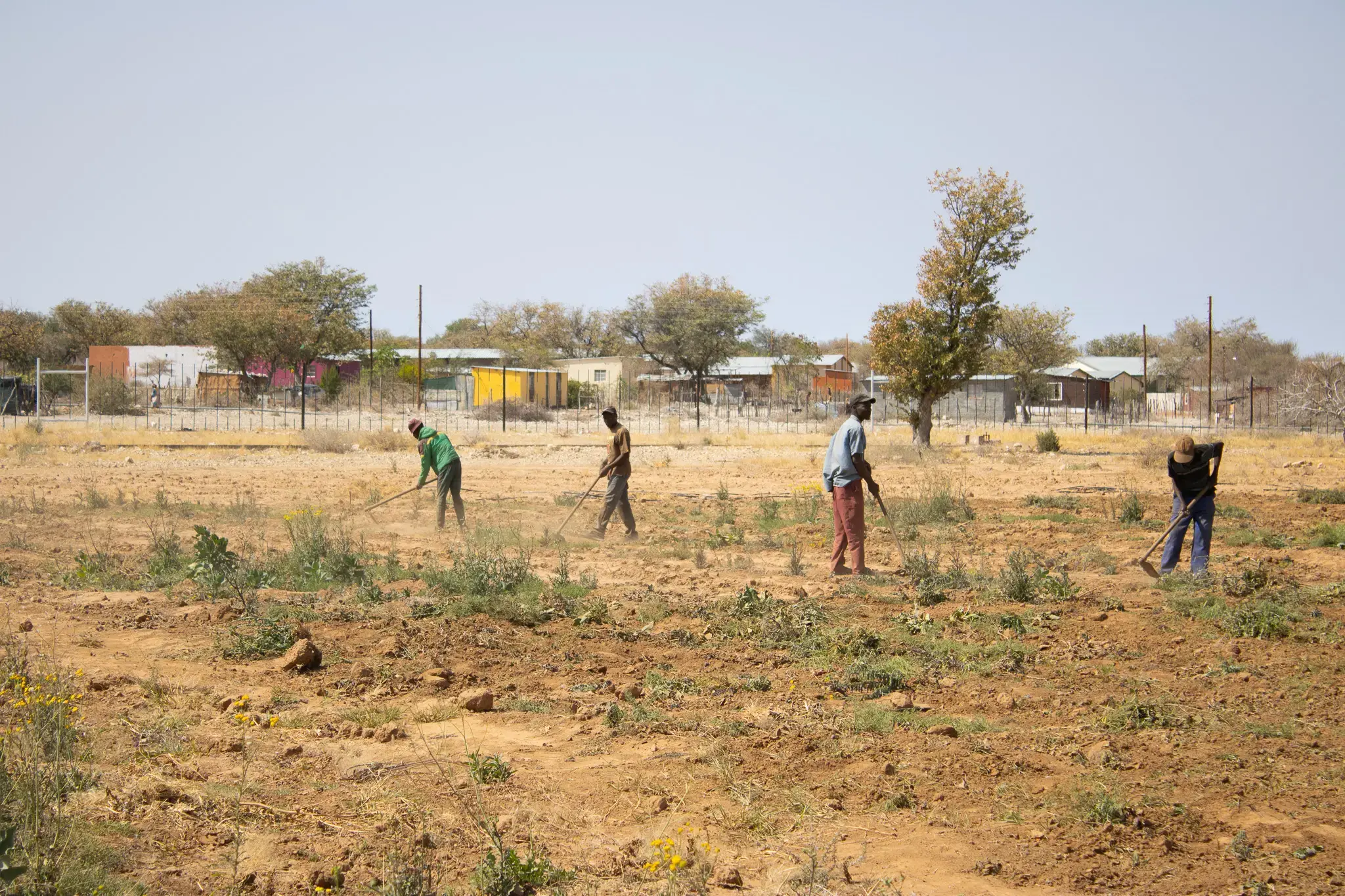 Portraits of Drought: Farmers Struggle To Adapt to Arid Conditions in ...