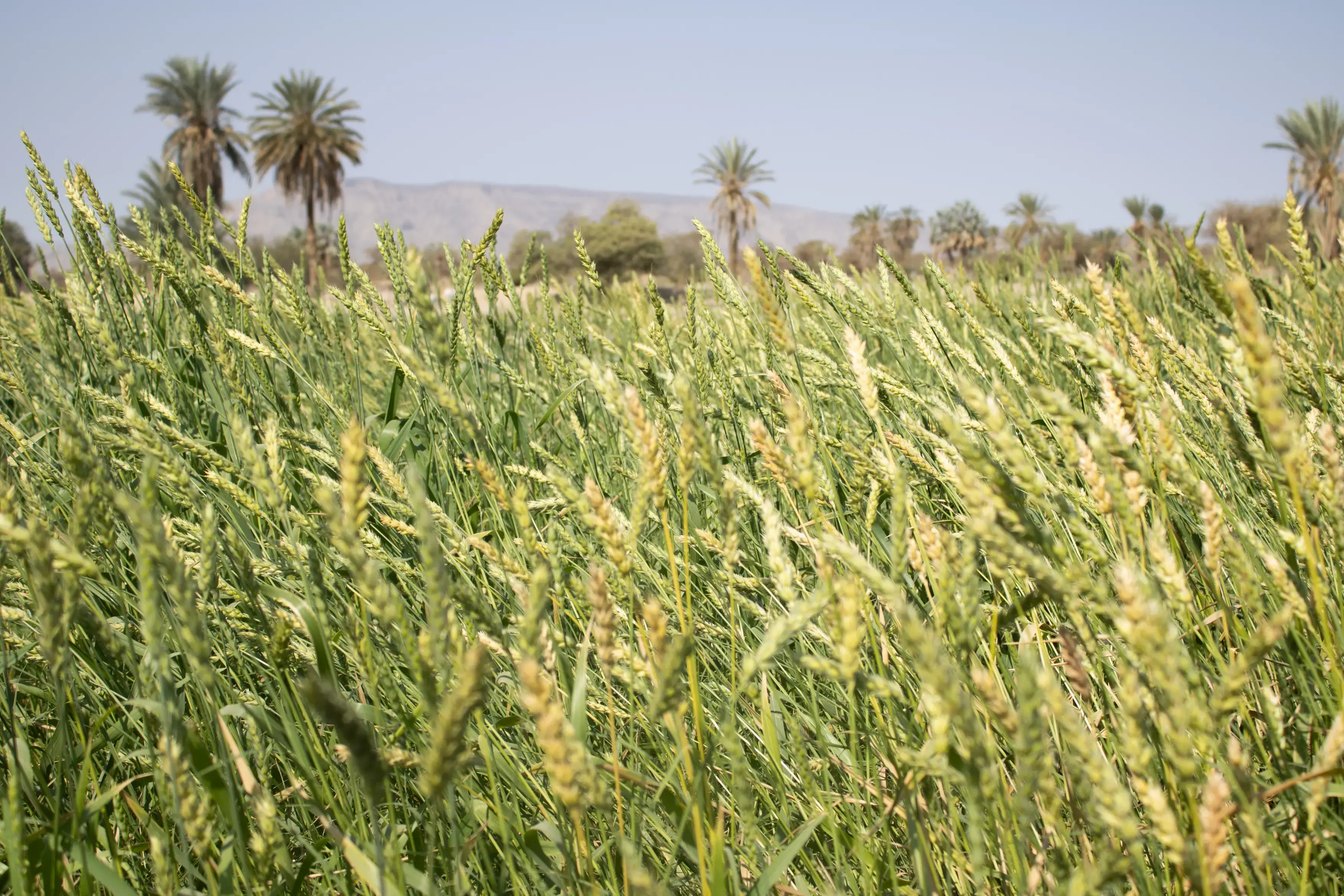 Making Connections in Kunene | Pulitzer Center