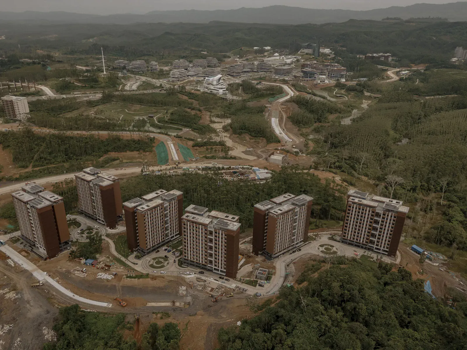 Deforestation and Urban Development in Indonesia Raise Mosquitoes ...