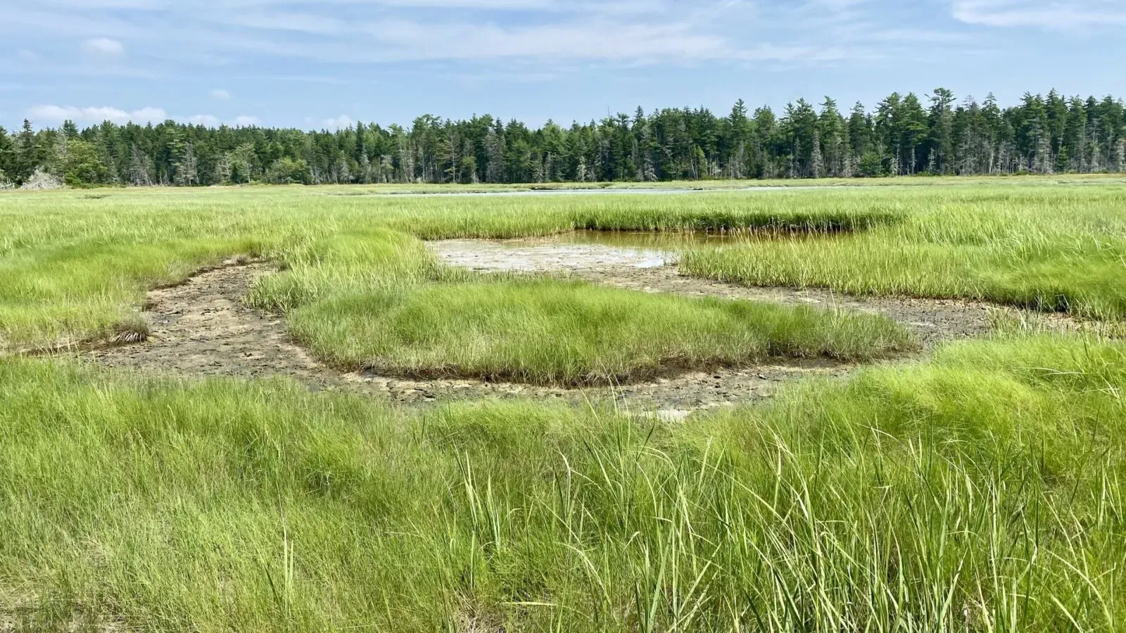 In Hancock, a Years-Long Restoration Project Brings Hope to a Sinking ...