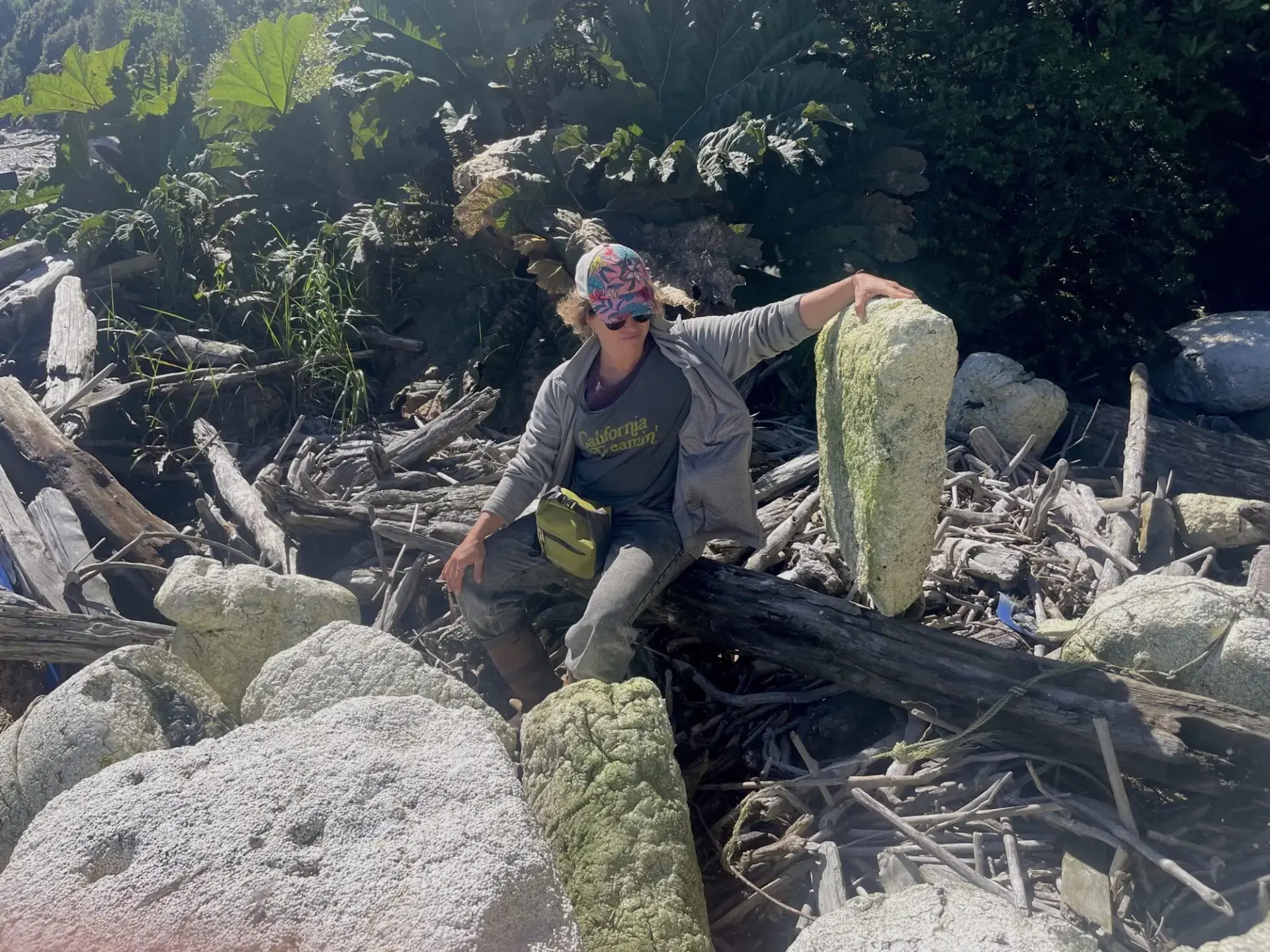 Patagonian Paradise Lost? The Environmental Hazards of Farming Fish in ...