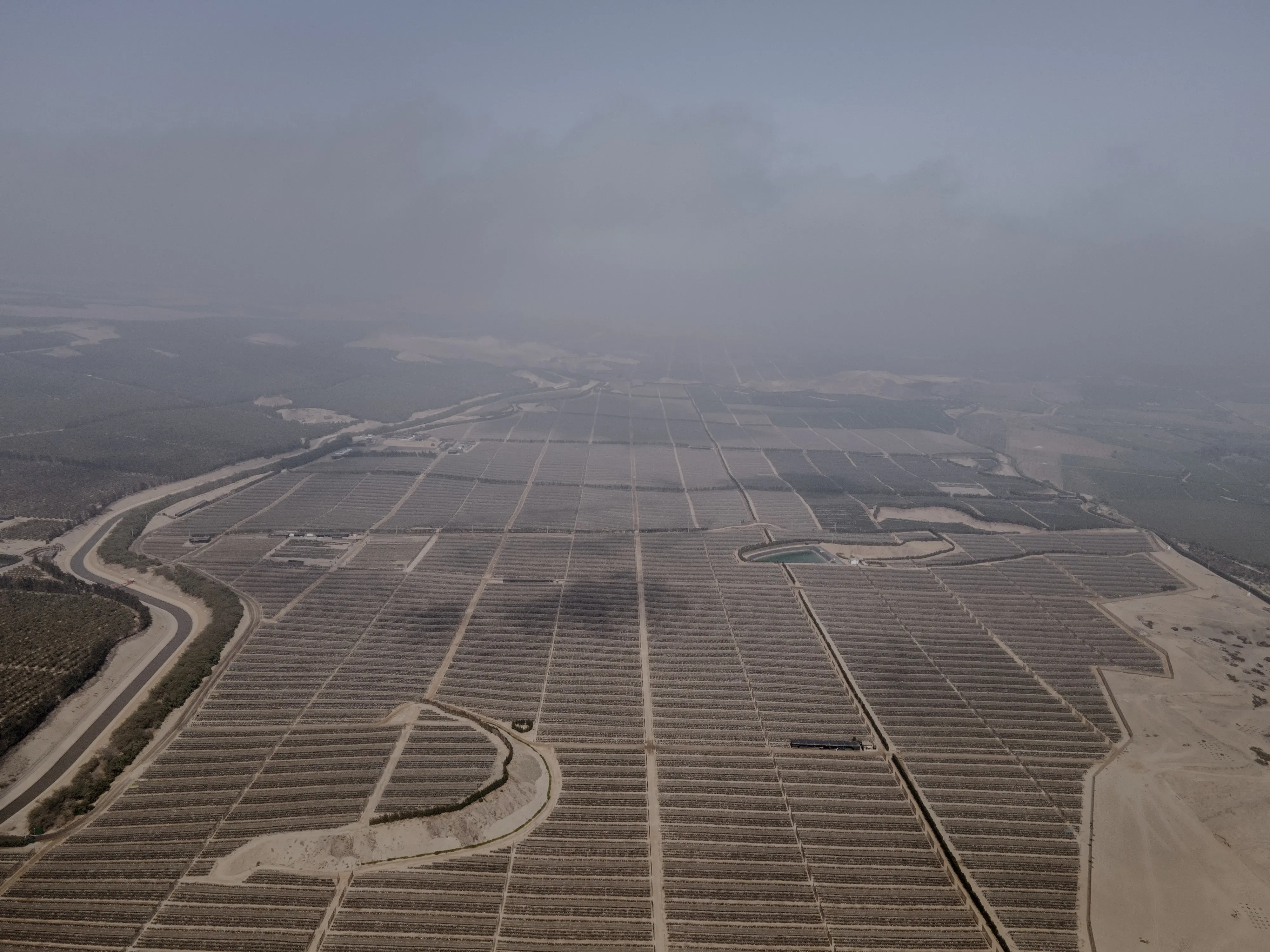 Peruvian Blueberries Are Thriving Abroad, but Local Harvesters Are Left ...