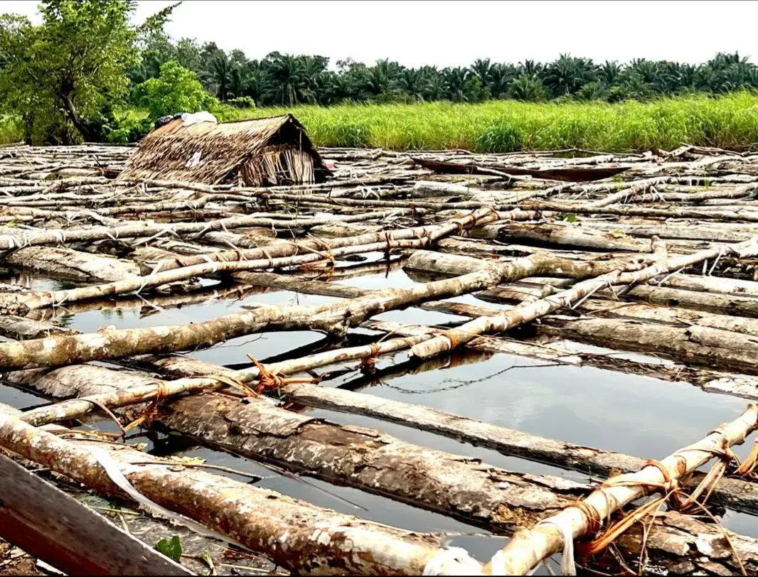 How Should the Artisanal Logging Sector Be Organized in the DRC ...