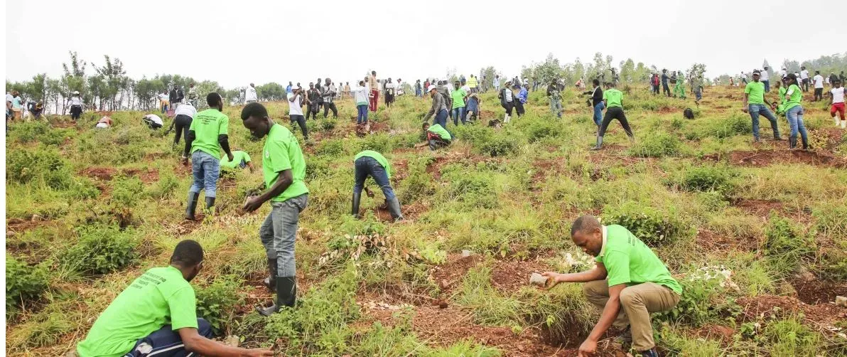 Population Growth Has Reduced Forest Cover in Kigali (Kinyarwanda ...