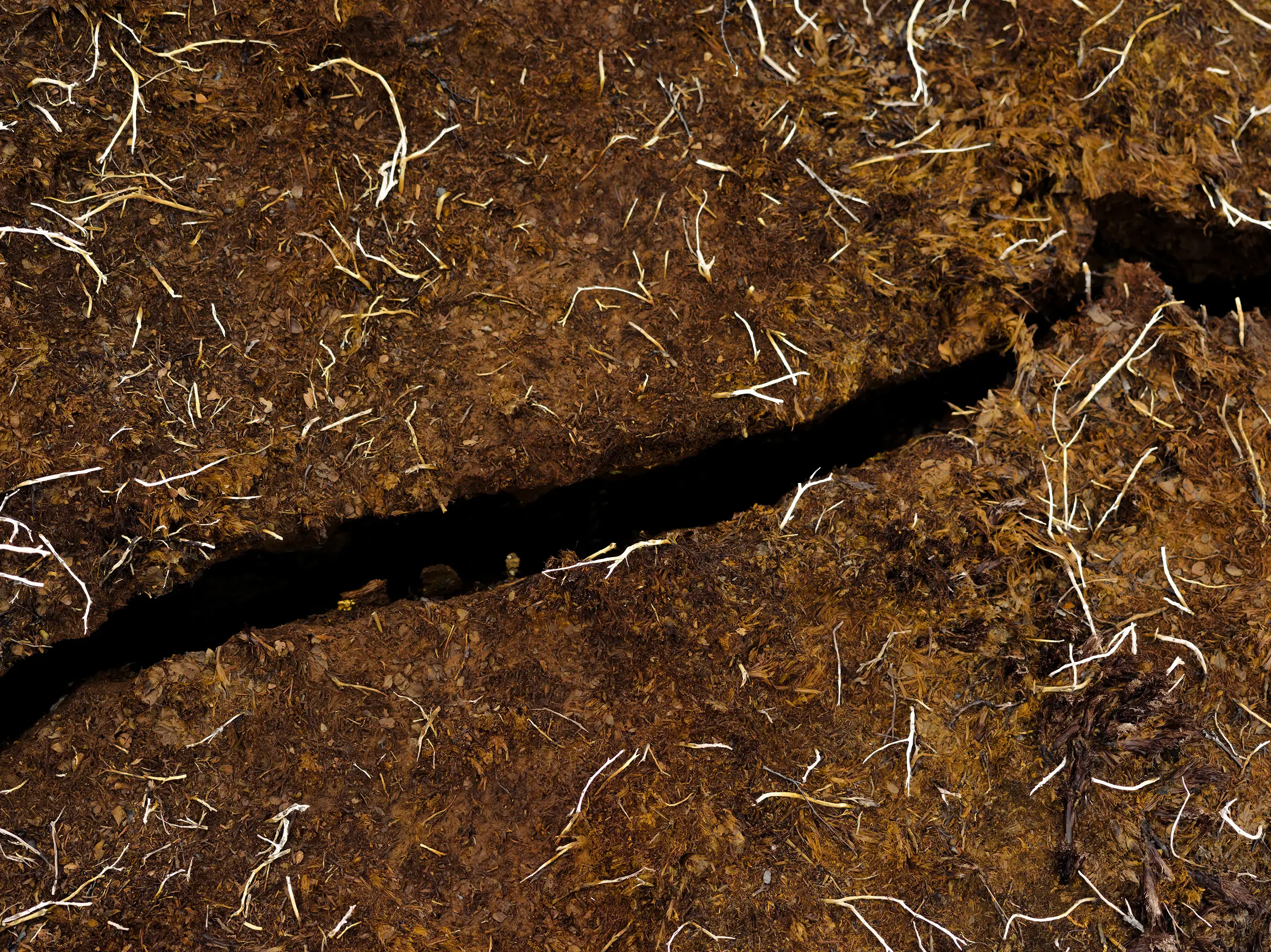 Why Are Alaska’s Rivers Turning Orange? | Pulitzer Center