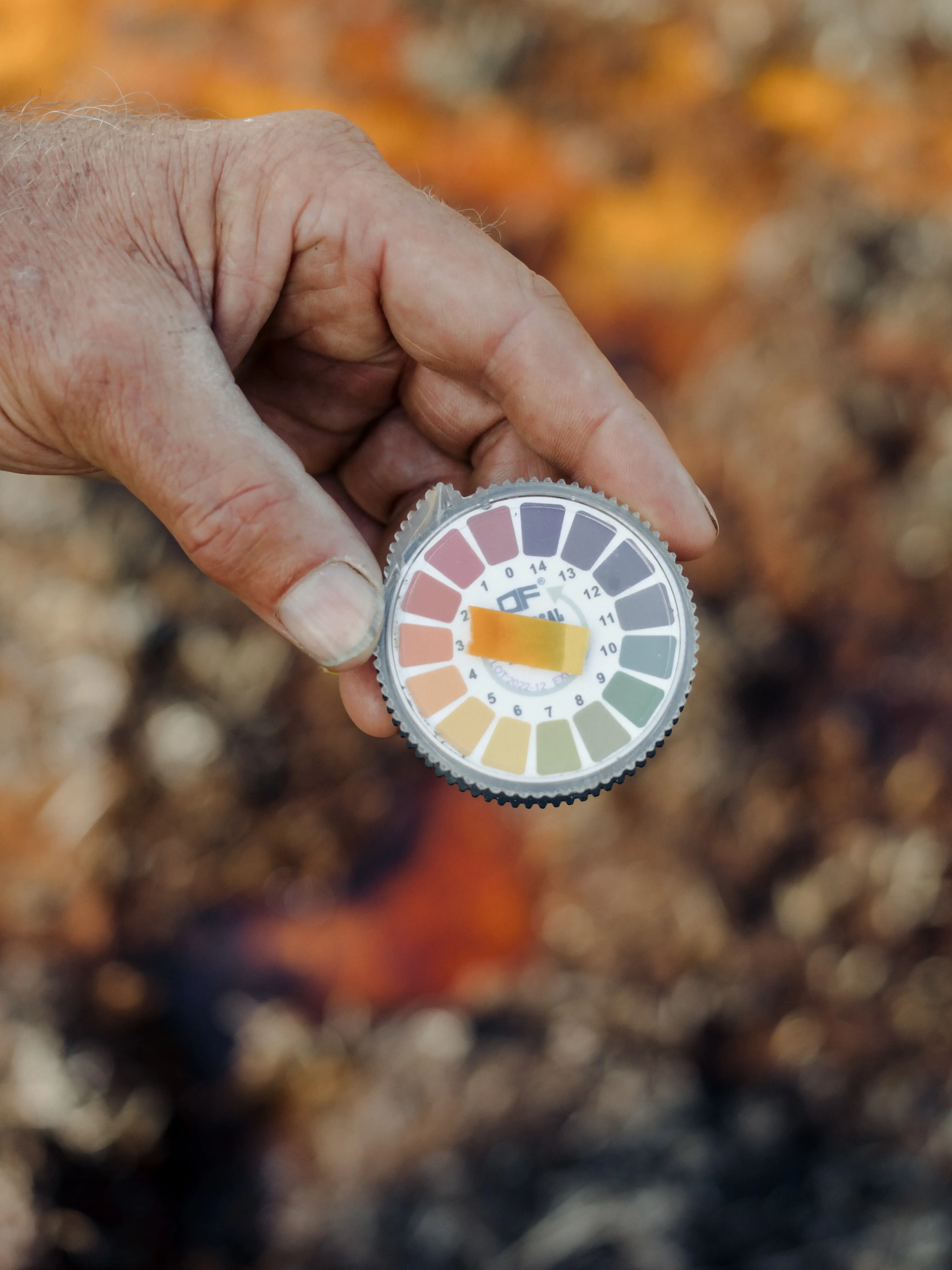 Why Are Alaska’s Rivers Turning Orange? | Pulitzer Center