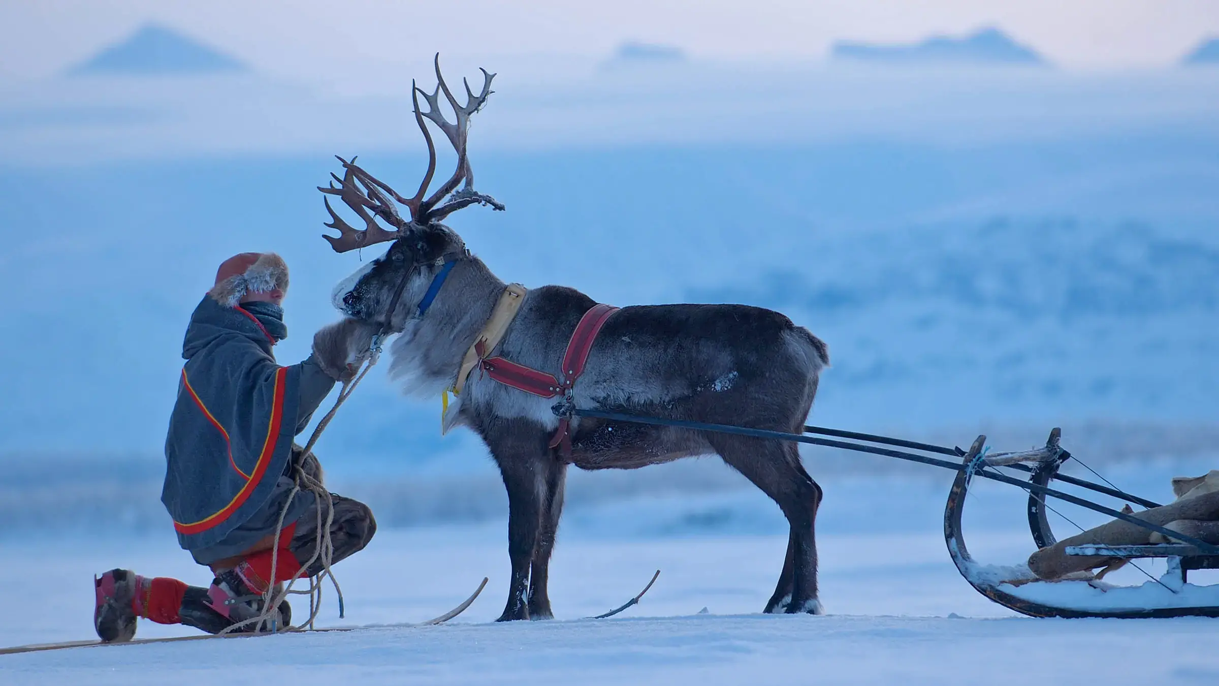 Finland’s Debate Over Indigenous Identity and Rights Turns Ugly ...