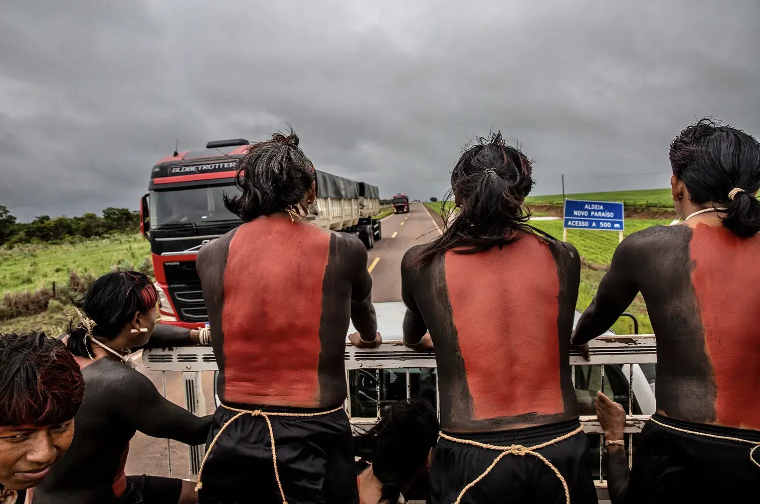Indigenous Village Harvests Seeds To Slow Deforestation in Brazil’s ...