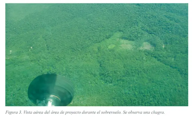 The Yuruparí Jaguars’ Territory Divided by a Carbon Credit Project ...