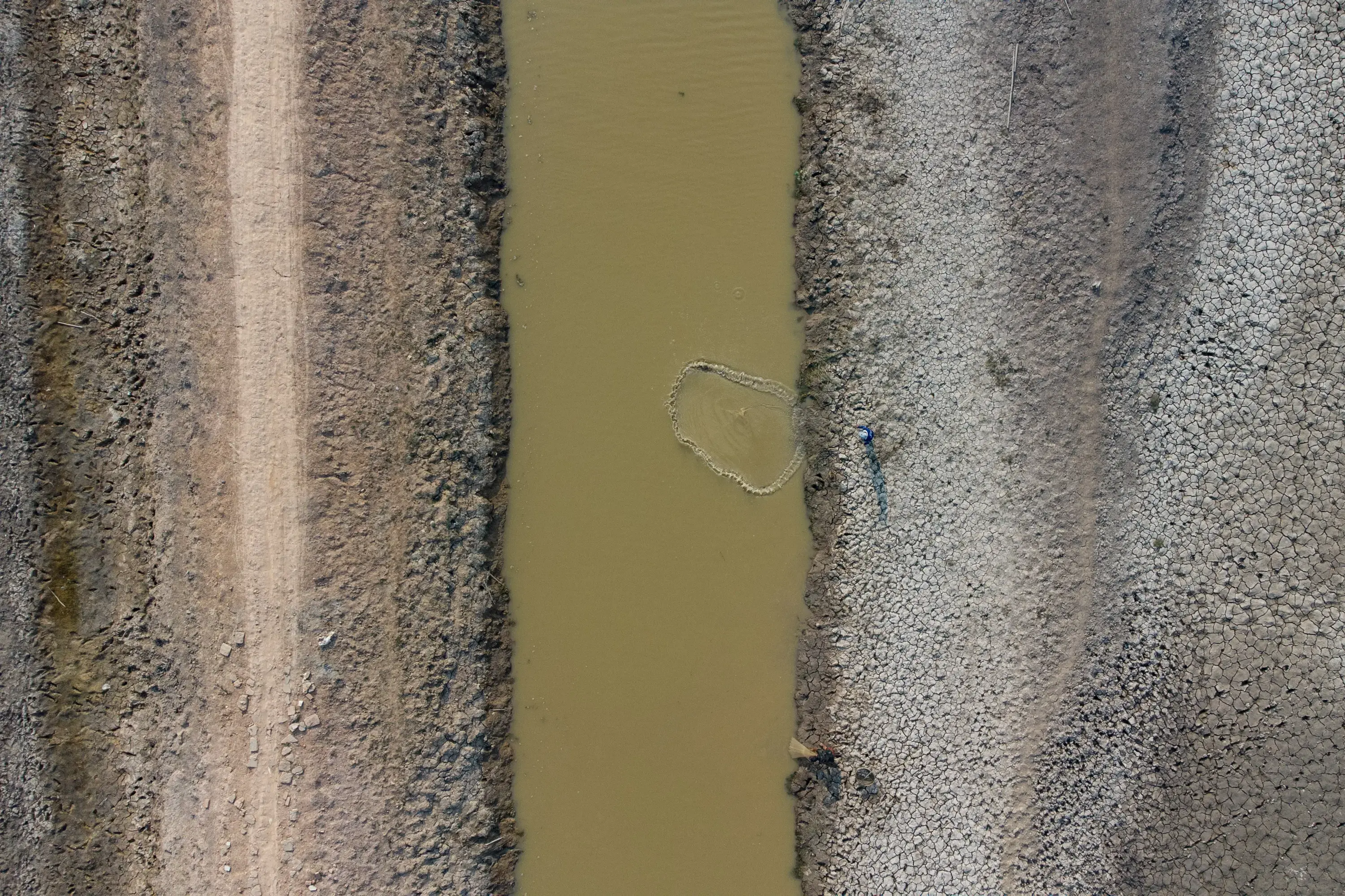 Restoration in the Musi River Wetlands (bahasa Indonesia) | Pulitzer Center