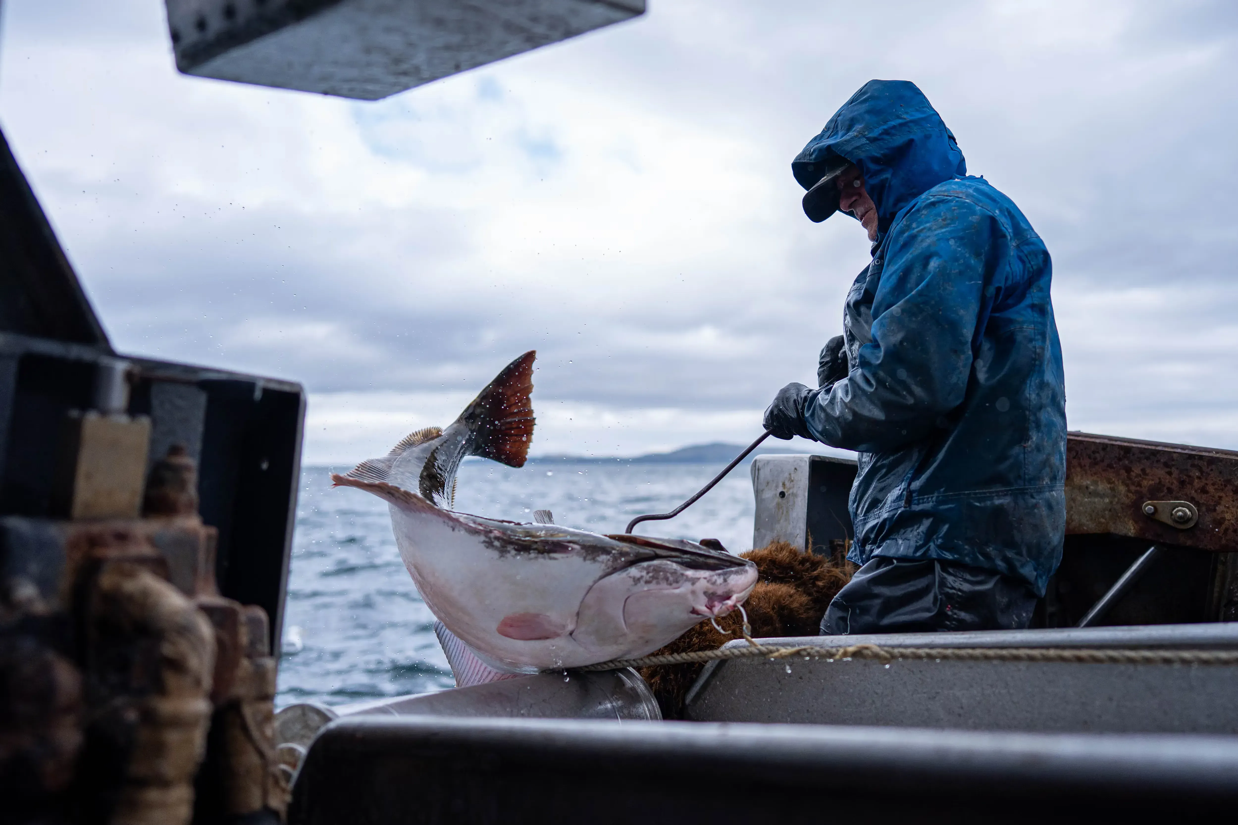 Shrinking Prize: Challenges Mount for Alaska and Washington Fishing ...