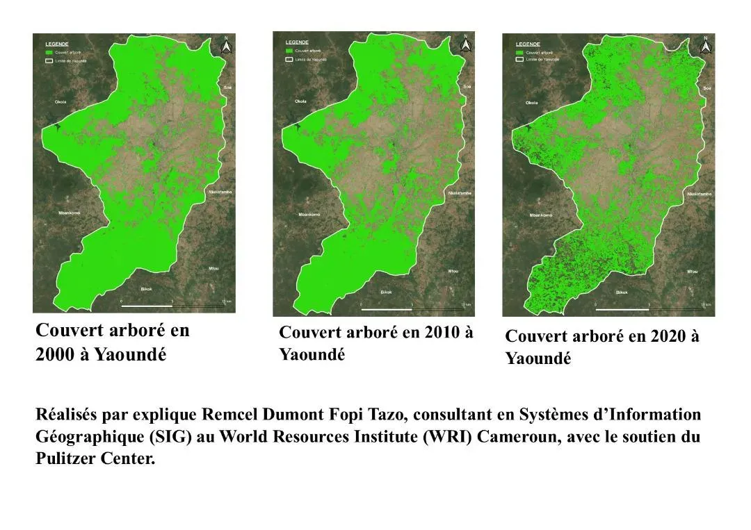 Suffocating Cities: When Urban Deforestation Triggers Chaos (French ...