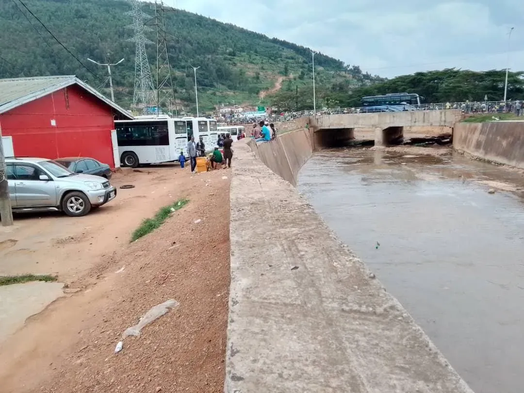 Suffocating Cities: When Urban Deforestation Triggers Chaos (French ...