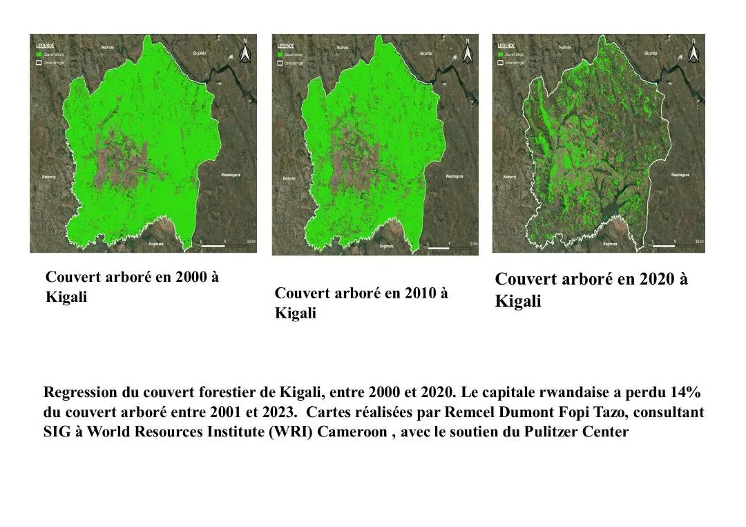 Suffocating Cities: When Urban Deforestation Triggers Chaos (French ...