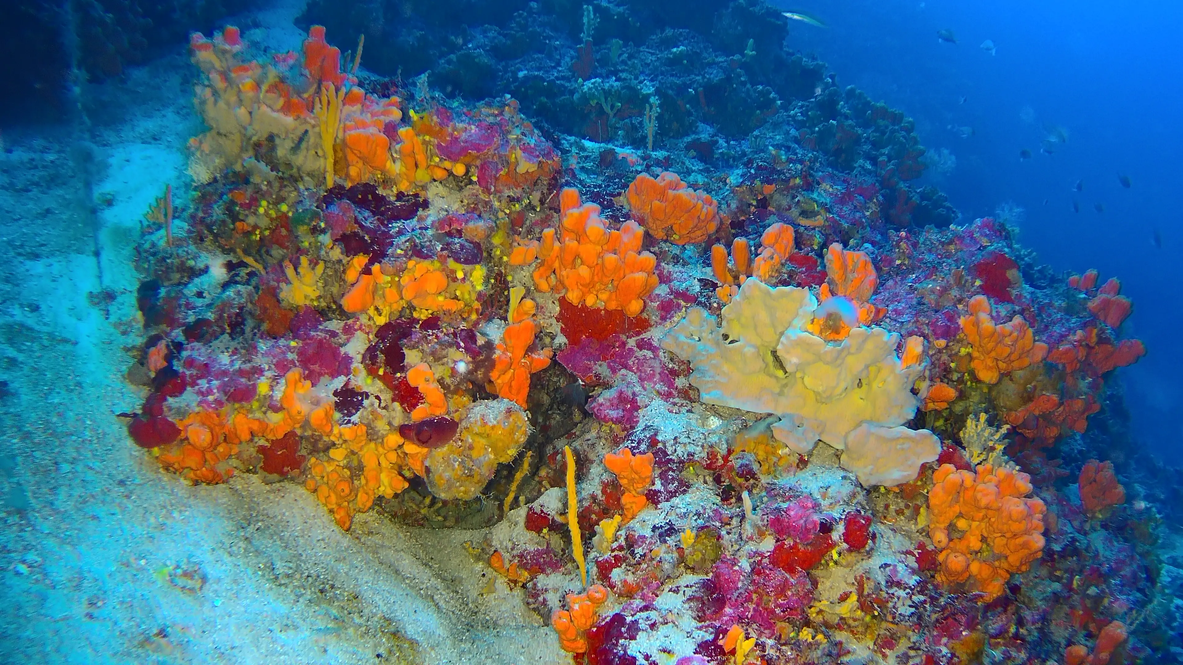 How Greek Fishermen Are Protecting the Secrets of the Aegean | Pulitzer ...