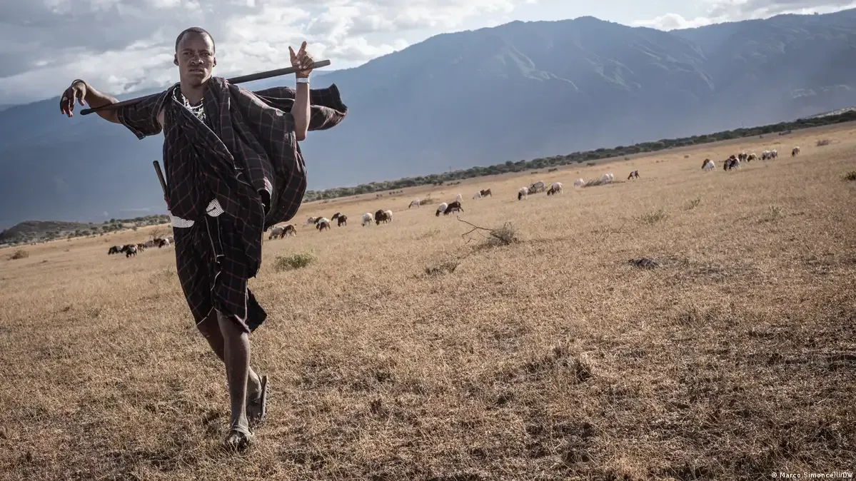 Tanzania’s Maasai, Wildlife Corridor Face Growing Pressure | Pulitzer ...