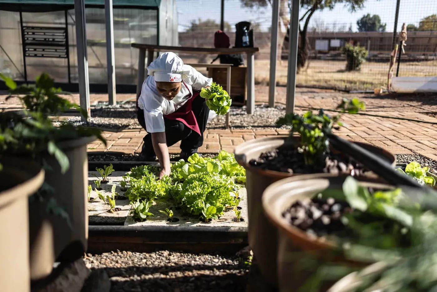 The Tiny Team That’s Steering the JET Flagship | Pulitzer Center