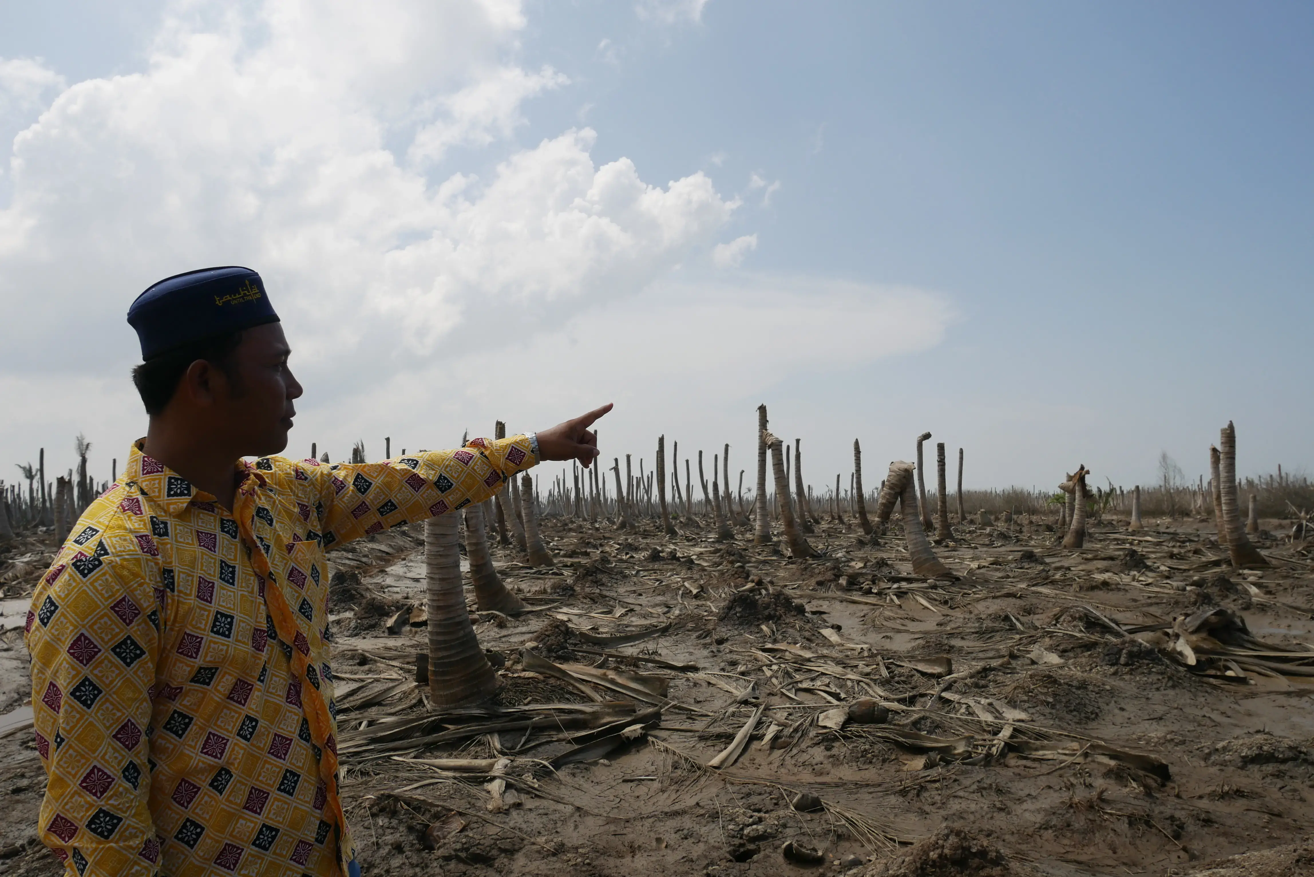 Sumatran Coastal Village Scrambles To Save Lost Livelihood ...