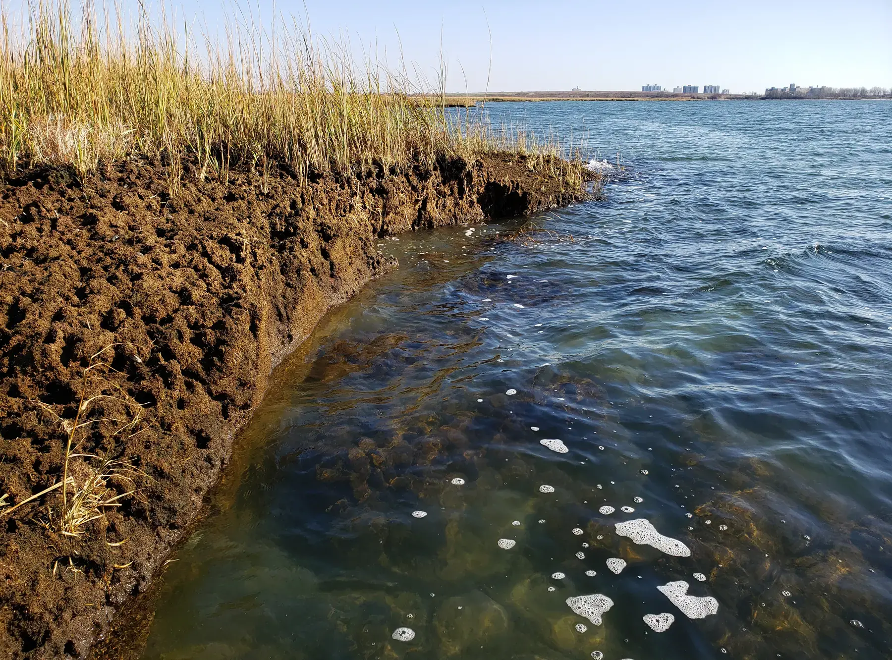 US Coastal Wetlands Are Rapidly Disappearing. Here’s What It’ll Take To ...