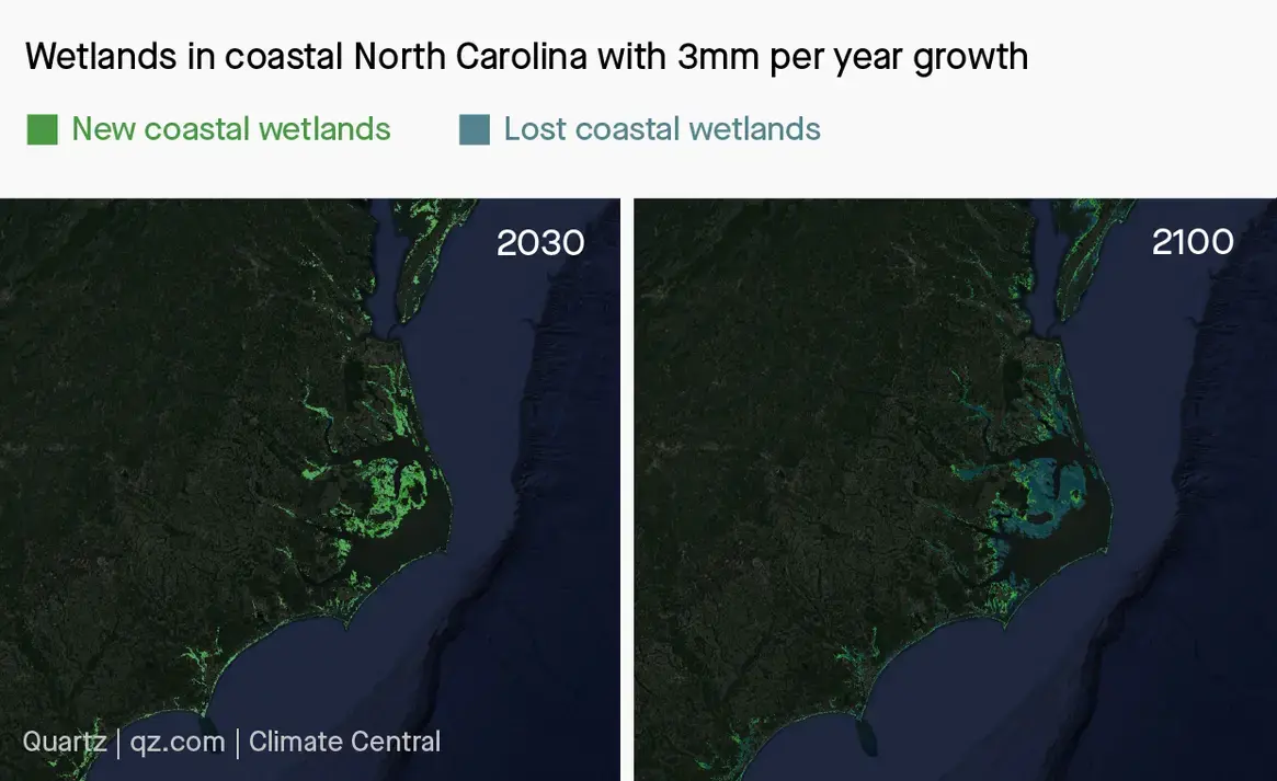 US Coastal Wetlands Are Rapidly Disappearing. Here’s What It’ll Take To ...