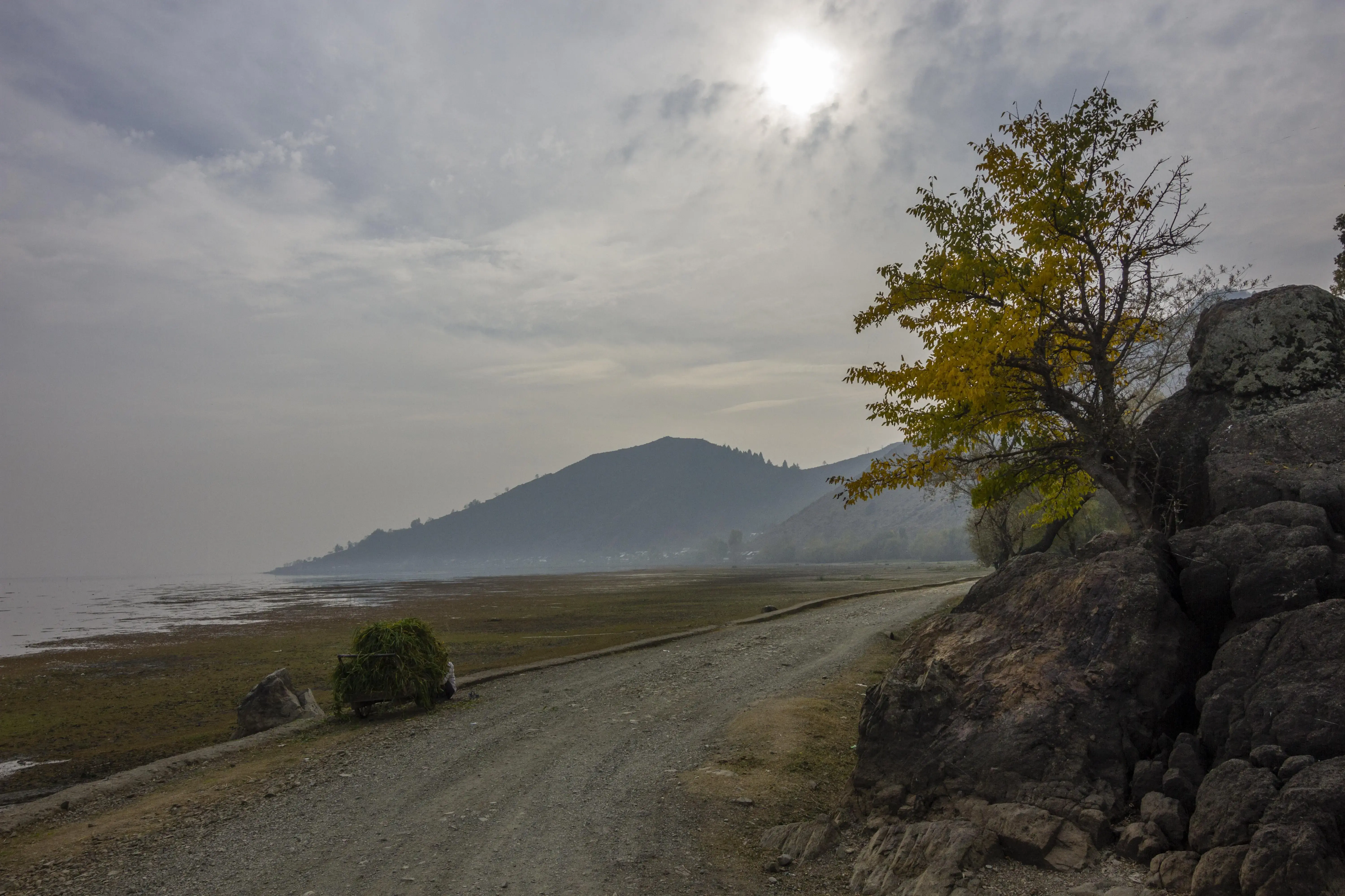 Kashmir’s Wular Lake Is in Crisis | Pulitzer Center
