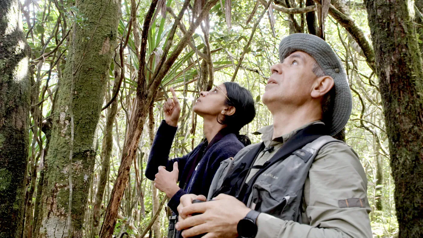 In Mauritius, Research Monkeys Are Big Business—and Big Controversy ...