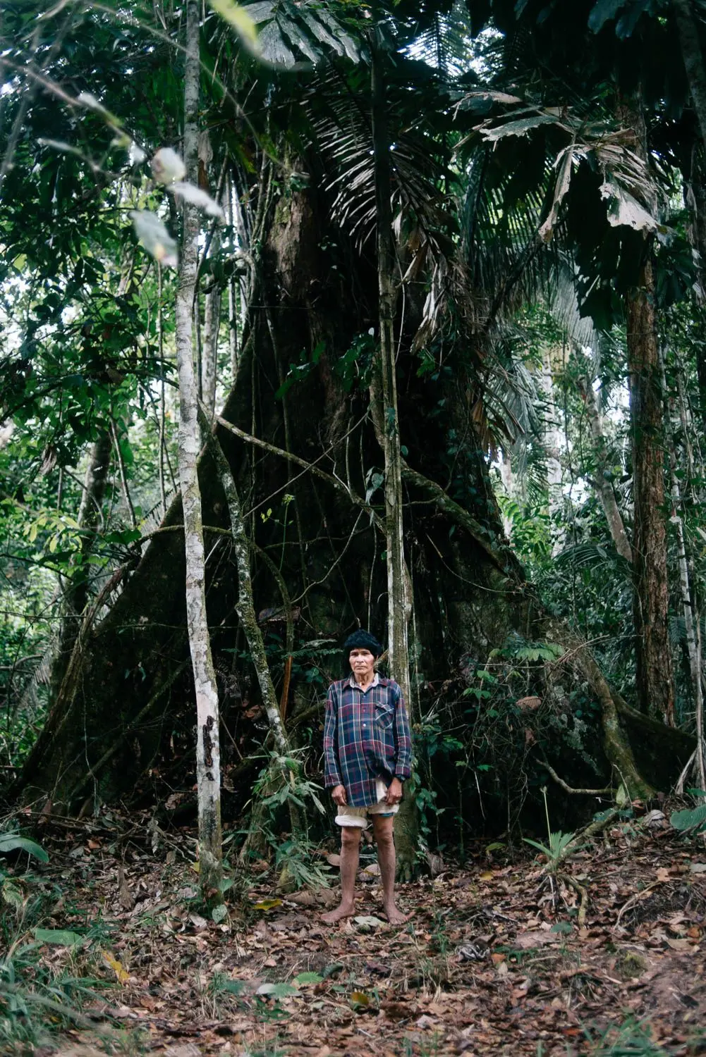 The Chimane of Maraca'tunsi and Their Stolen Holy Mount (Spanish ...