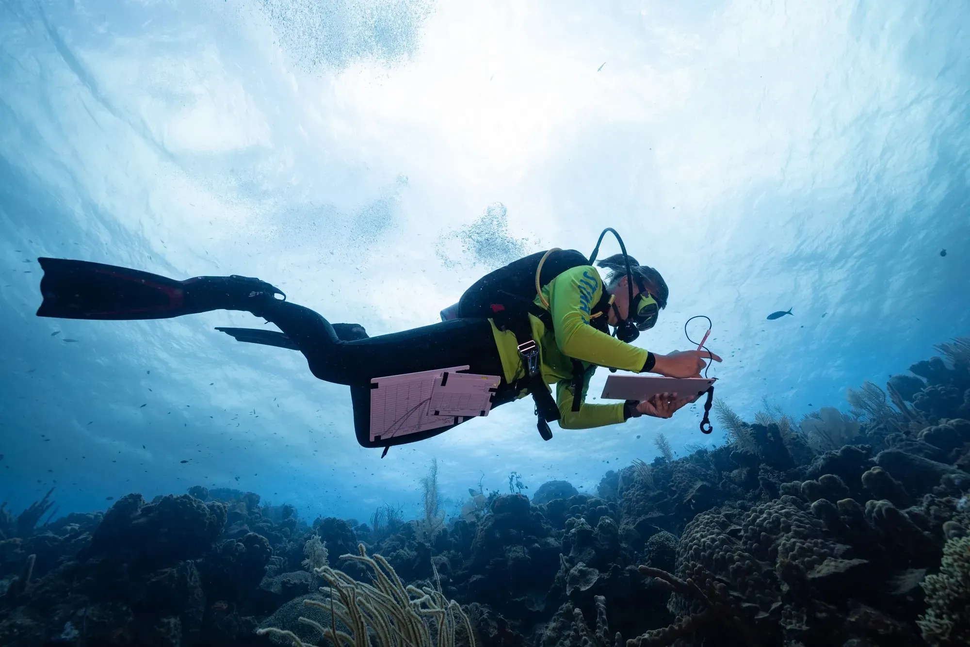 This Awkward Fish Works Harder Than You | Pulitzer Center