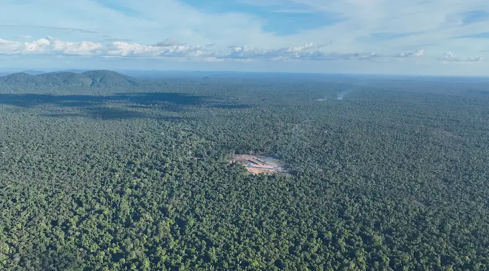 Logged and Loaded: Cambodian Prison Official Suspected in Massive ...