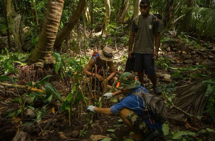 World-First Monitor Lizard Eradication Program Aims To Protect ...