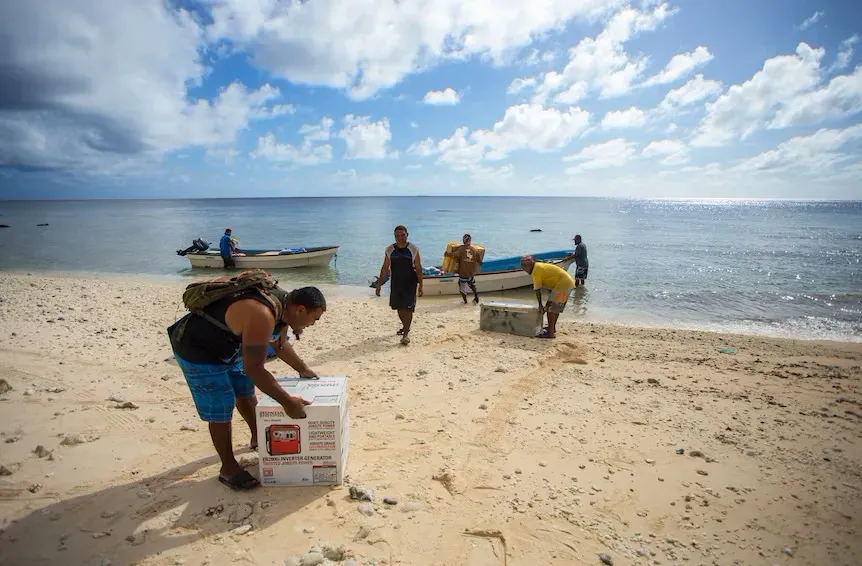 World-First Monitor Lizard Eradication Program Aims To Protect ...
