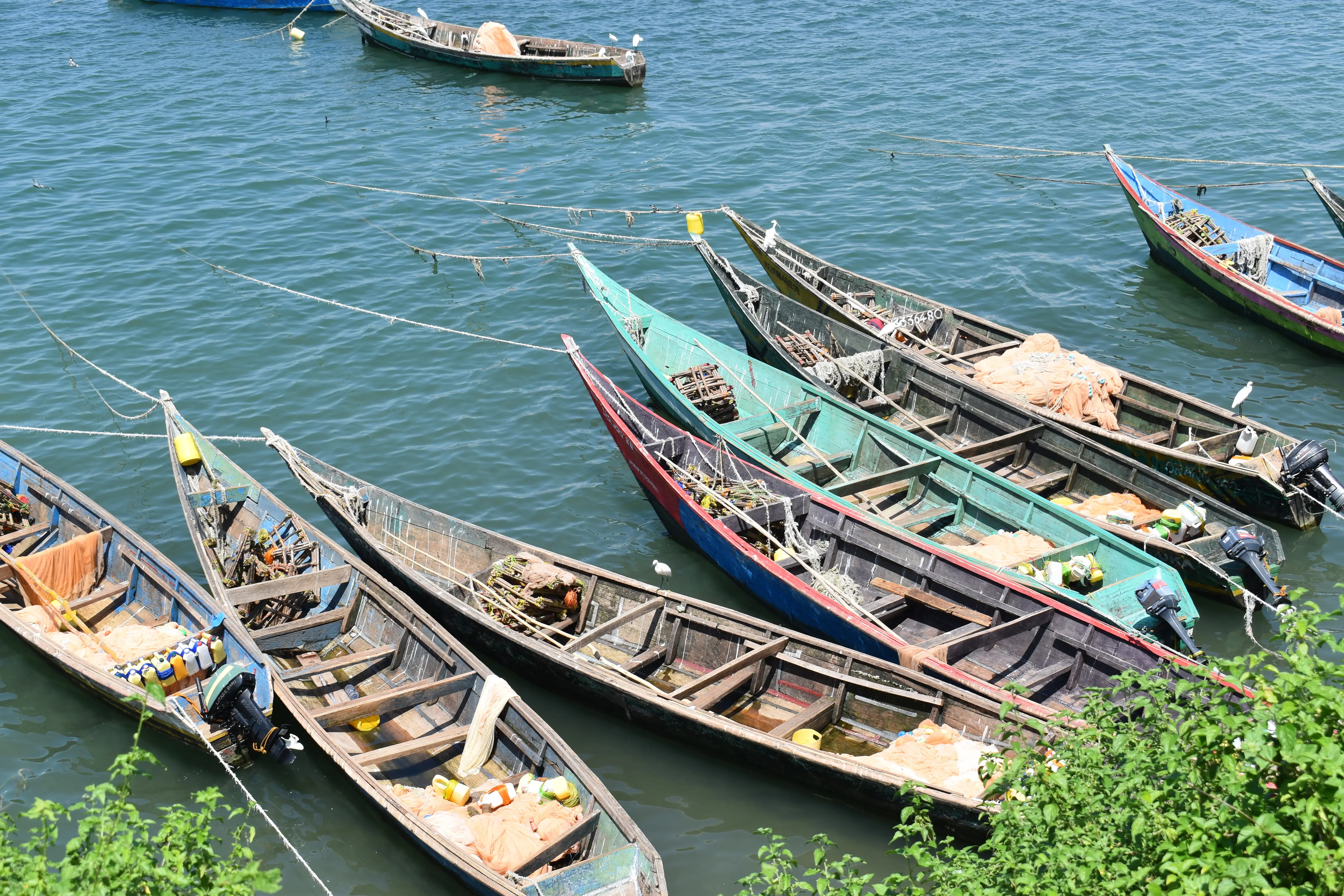 Dwindling Fish Populations Causing Conflicts Over Fishing Grounds in ...