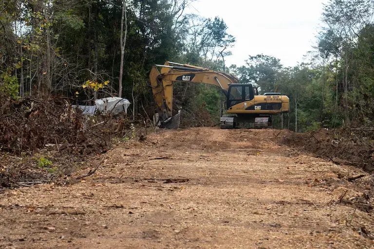 Logged and Loaded: Cambodian Prison Official Suspected in Massive ...