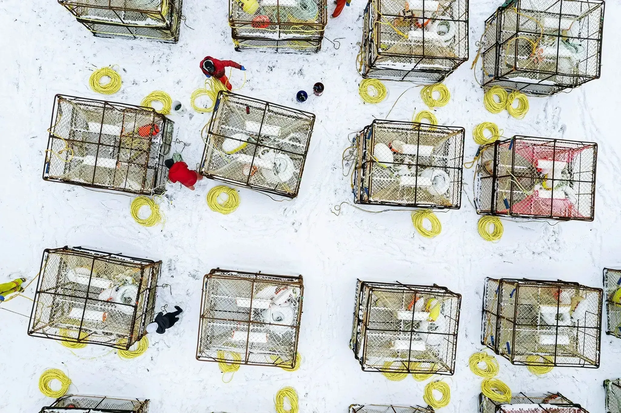 A Crab Boat’s Quest for Snow Crab in a Bering Sea Upended by Climate ...