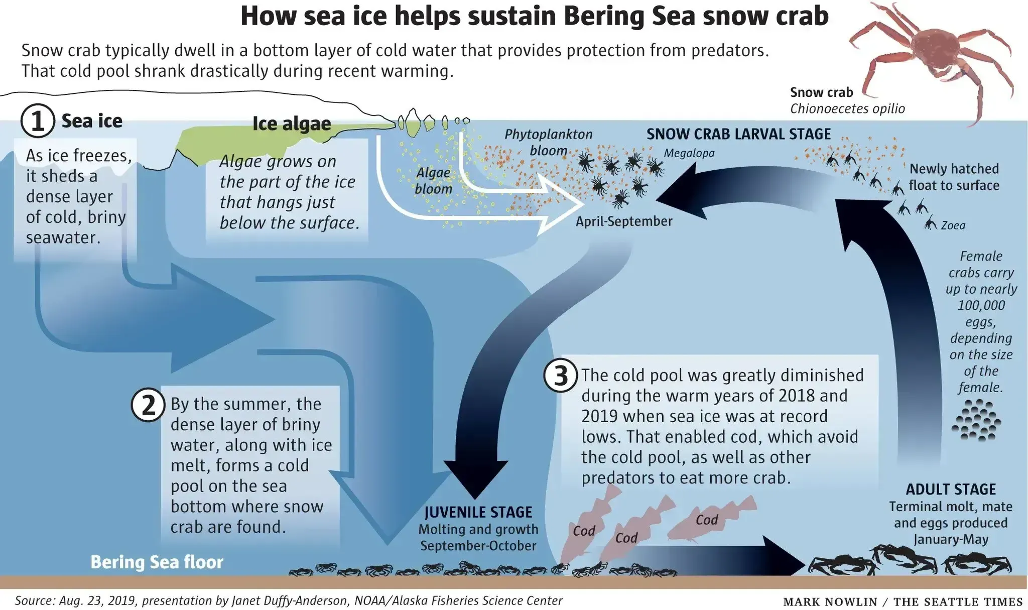 A Crab Boat’s Quest for Snow Crab in a Bering Sea Upended by Climate ...