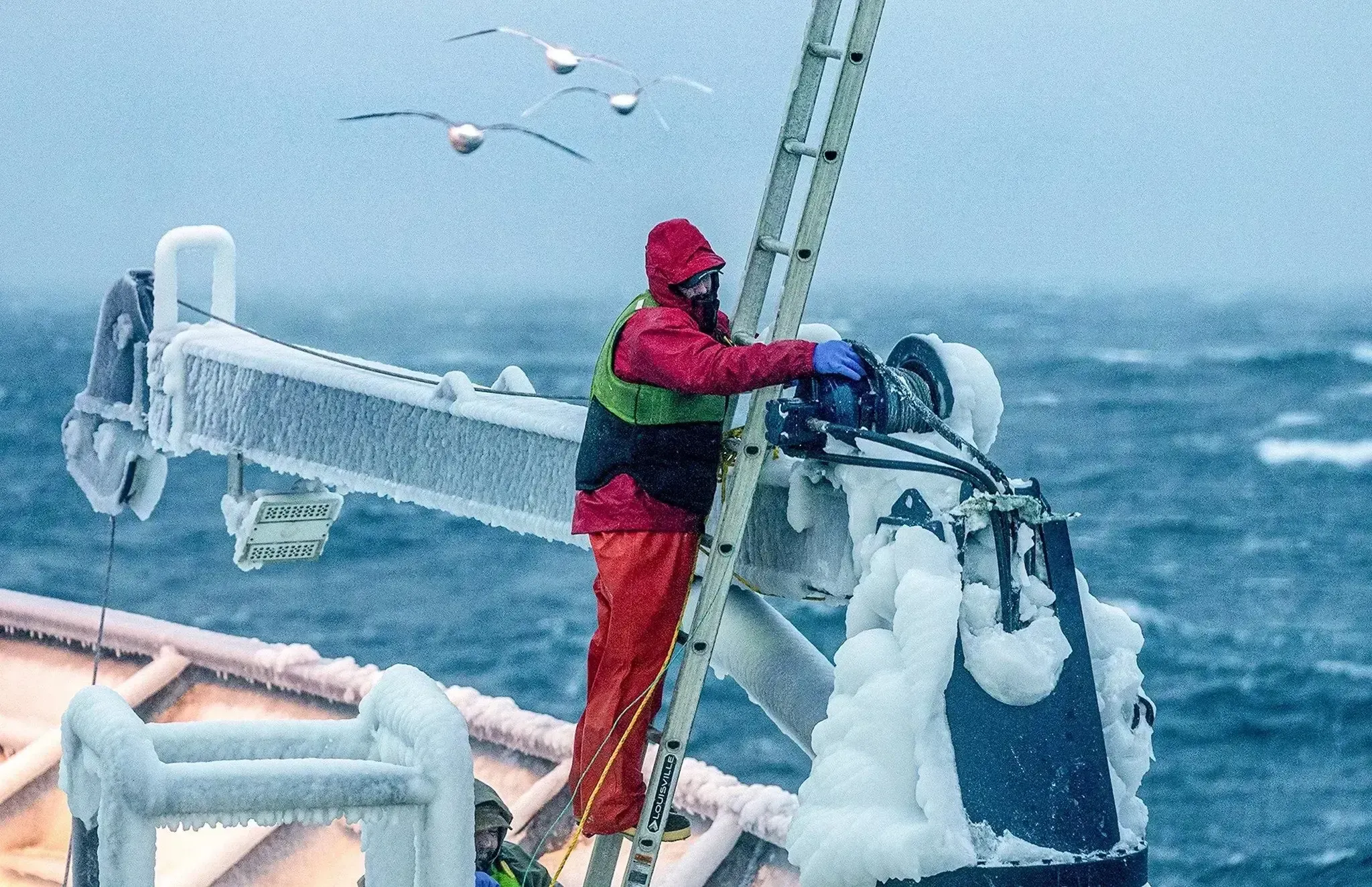 A Crab Boat’s Quest for Snow Crab in a Bering Sea Upended by Climate ...