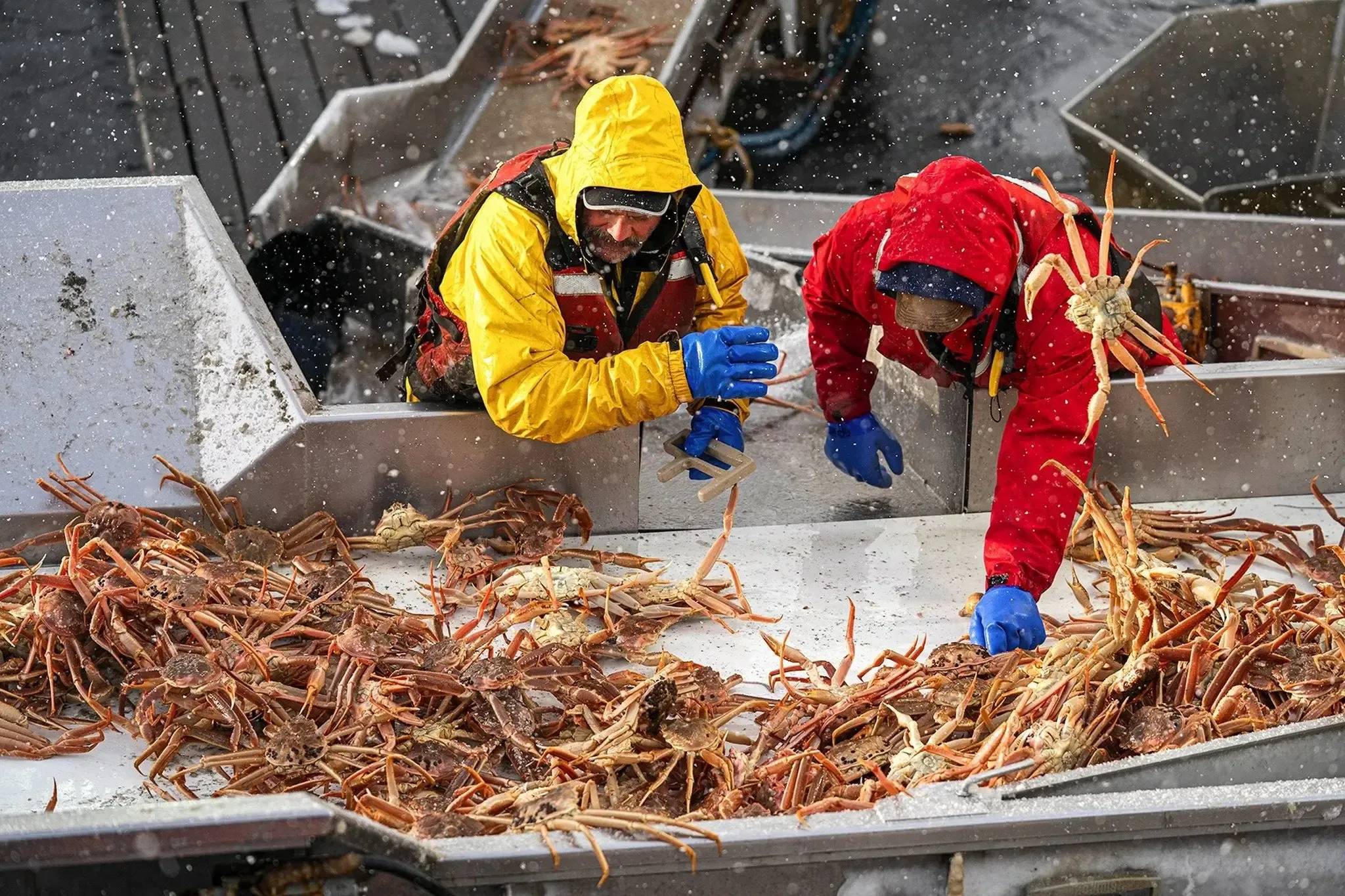 A Crab Boat’s Quest for Snow Crab in a Bering Sea Upended by Climate ...