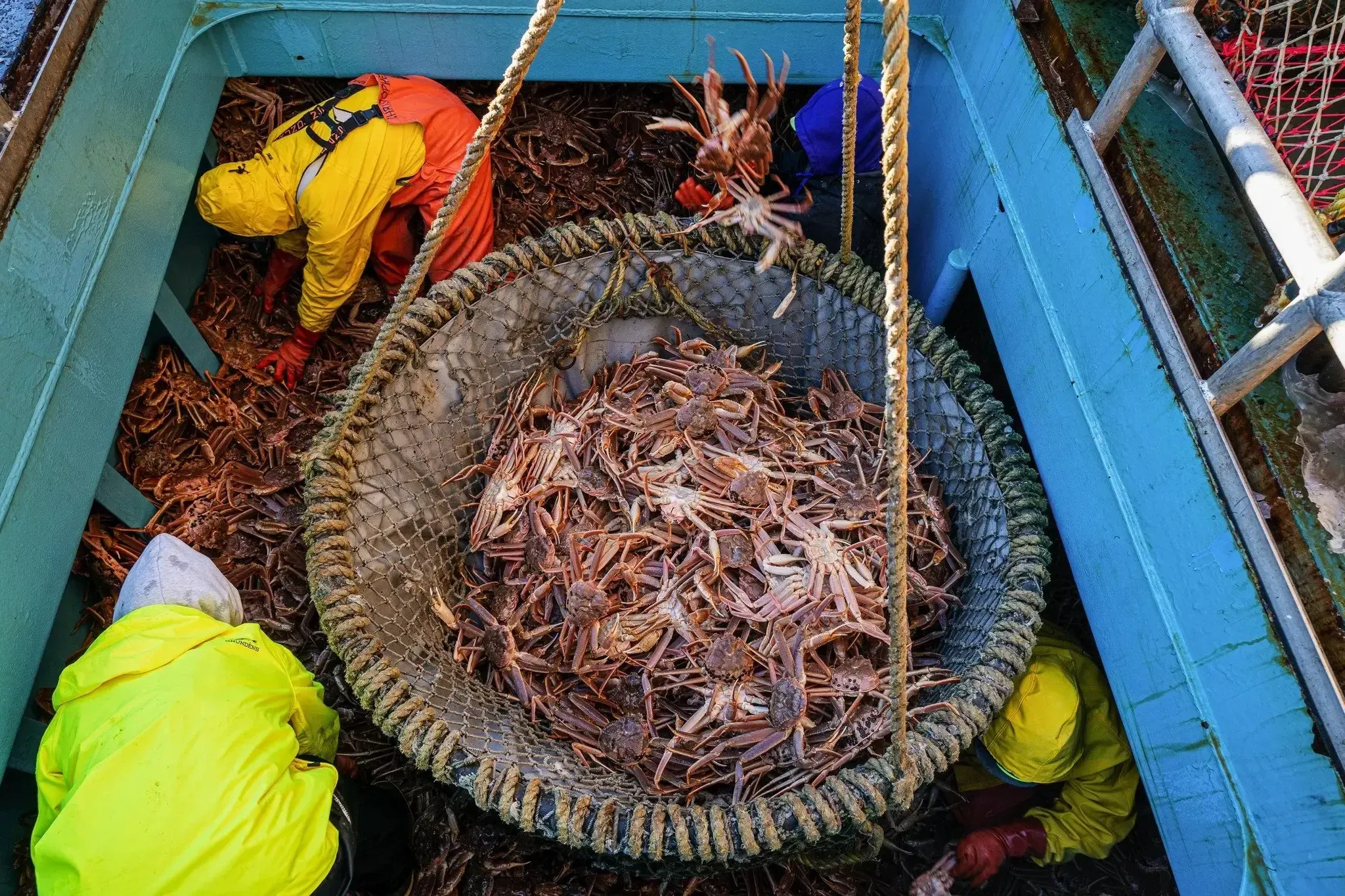 A Crab Boat’s Quest for Snow Crab in a Bering Sea Upended by Climate ...