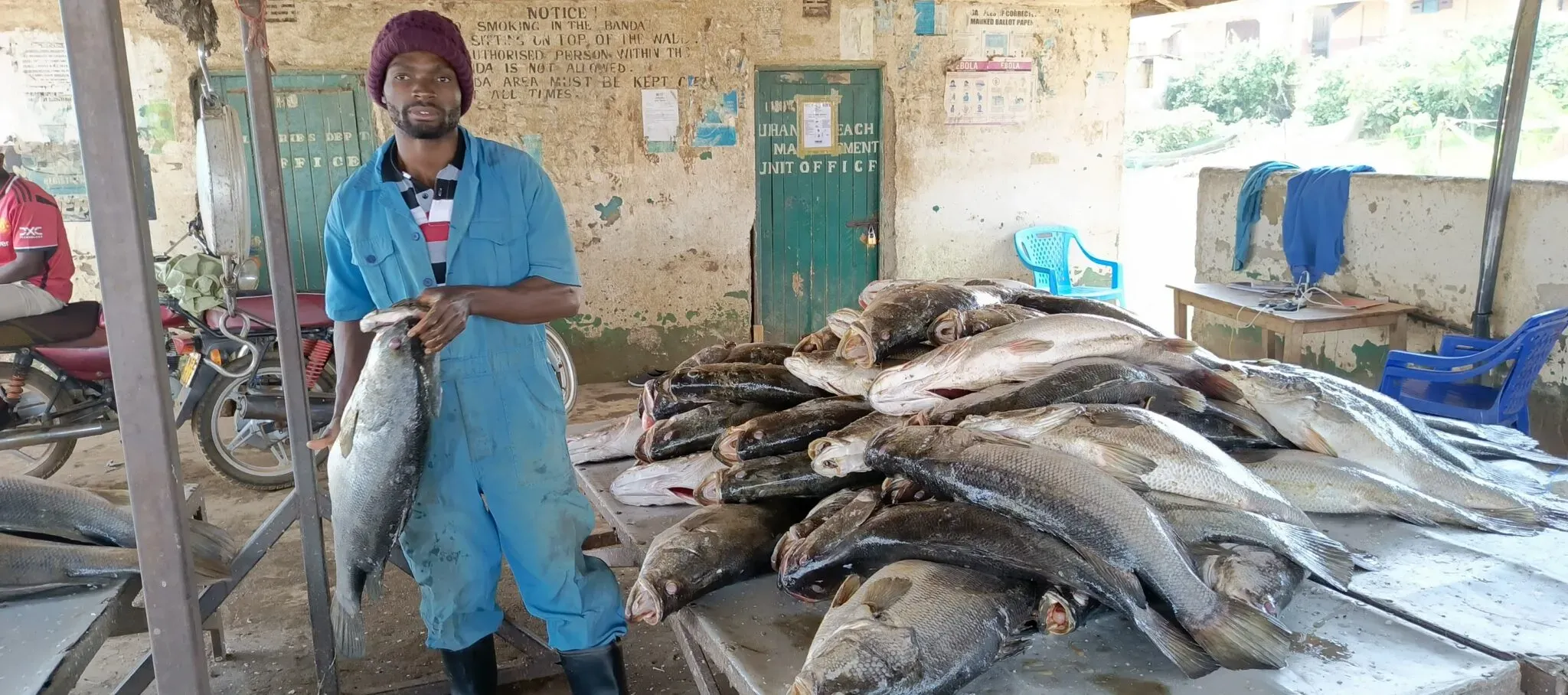 How Legal Gaps Are Promoting Illicit Fish Bladder Trade in Lake ...
