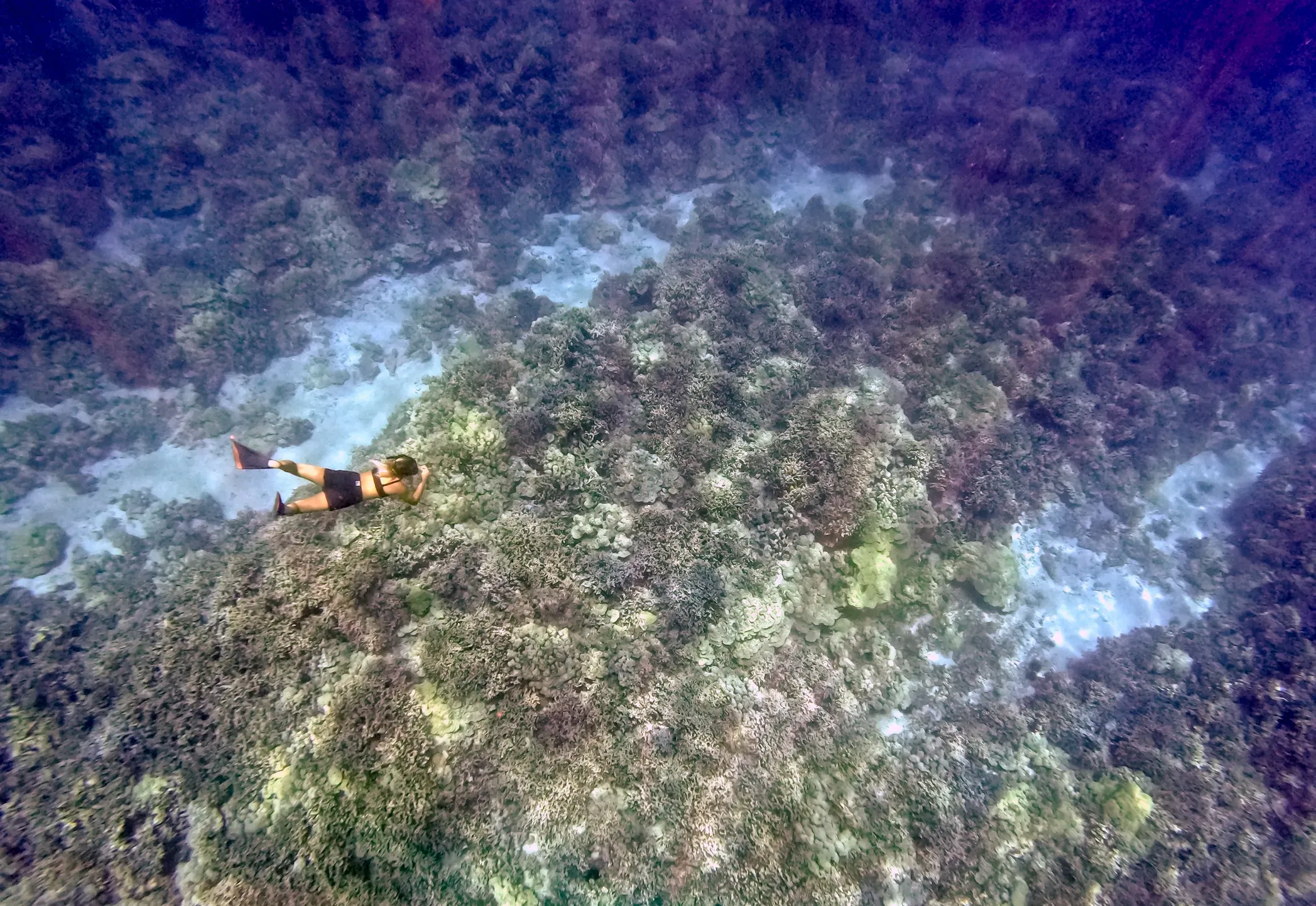 Hawaii’s Love Affair With Cesspools Is Ruining Its Reefs | Pulitzer Center