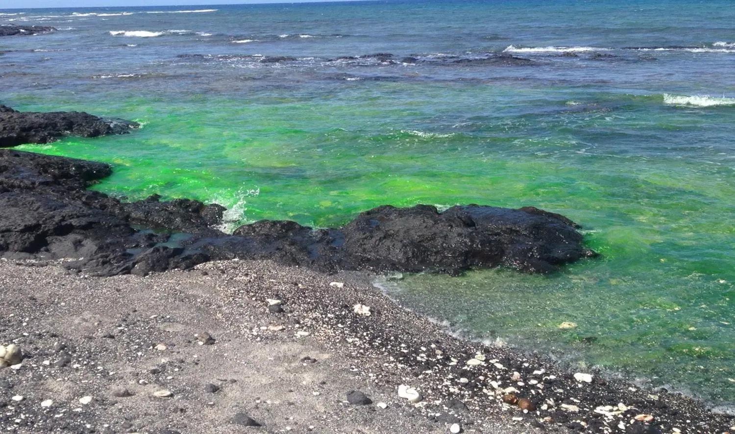 Hawaii’s Love Affair With Cesspools Is Ruining Its Reefs | Pulitzer Center