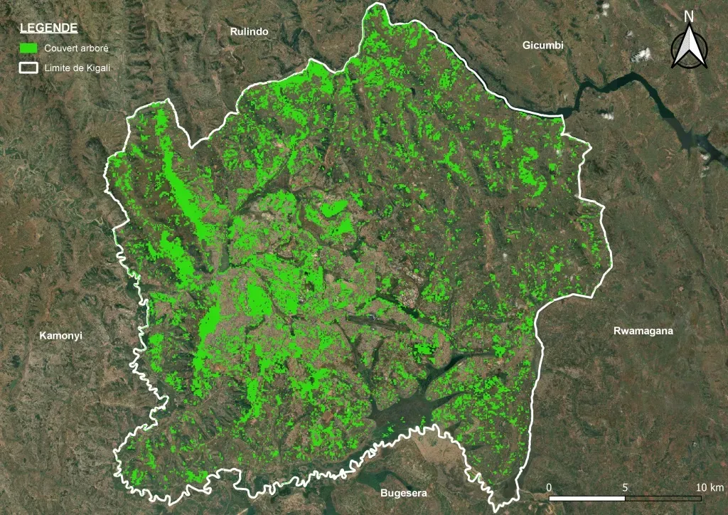 Population Pressure Blamed in Decline of Kigali’s Urban Forests ...