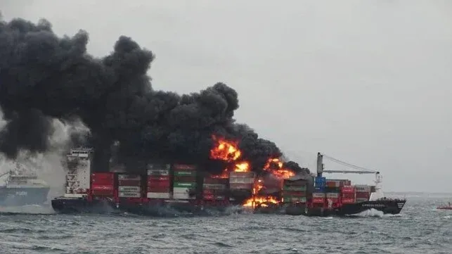 Investigating Alleged Corruption After an Environmental Disaster: The ...