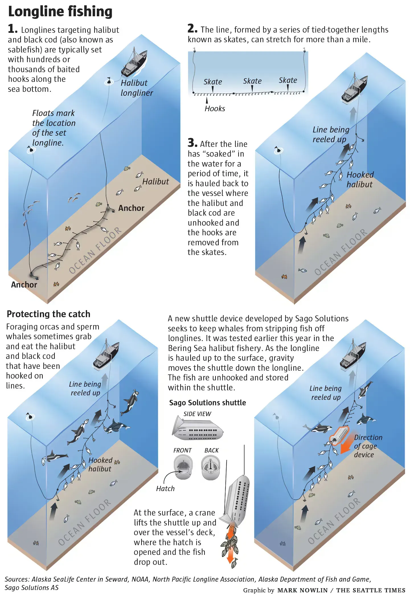 In Waters off Alaska, Fishermen Struggle To Keep Orcas From Their Catch ...