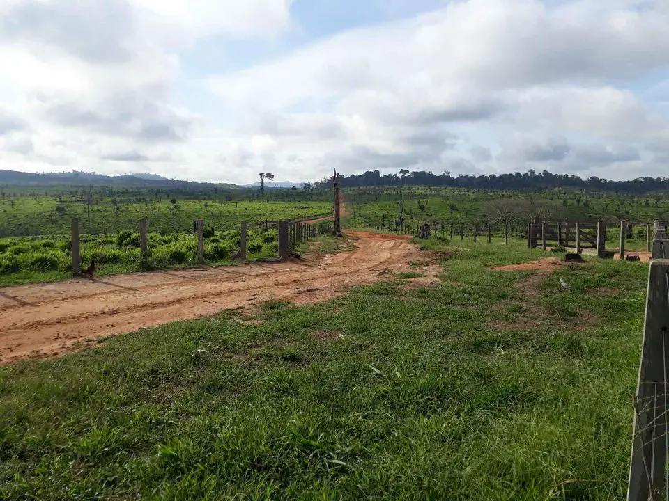 The Engineers of Land Grabbing (Portuguese) | Pulitzer Center