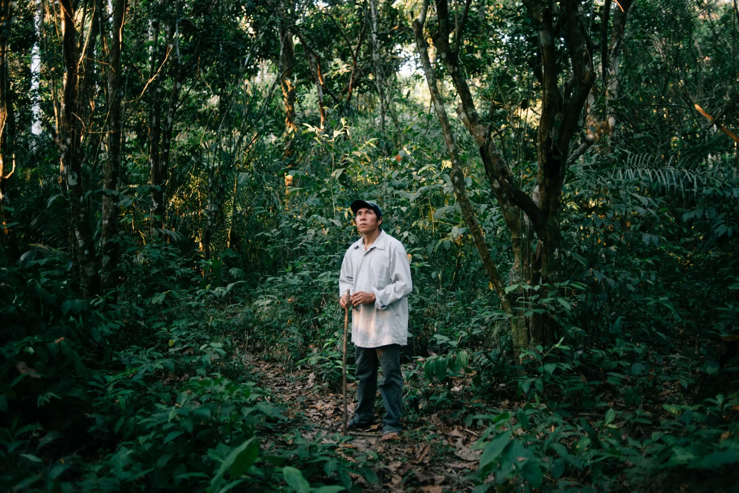 The Chimane of Maraca'tunsi and Their Stolen Holy Mount (Spanish ...