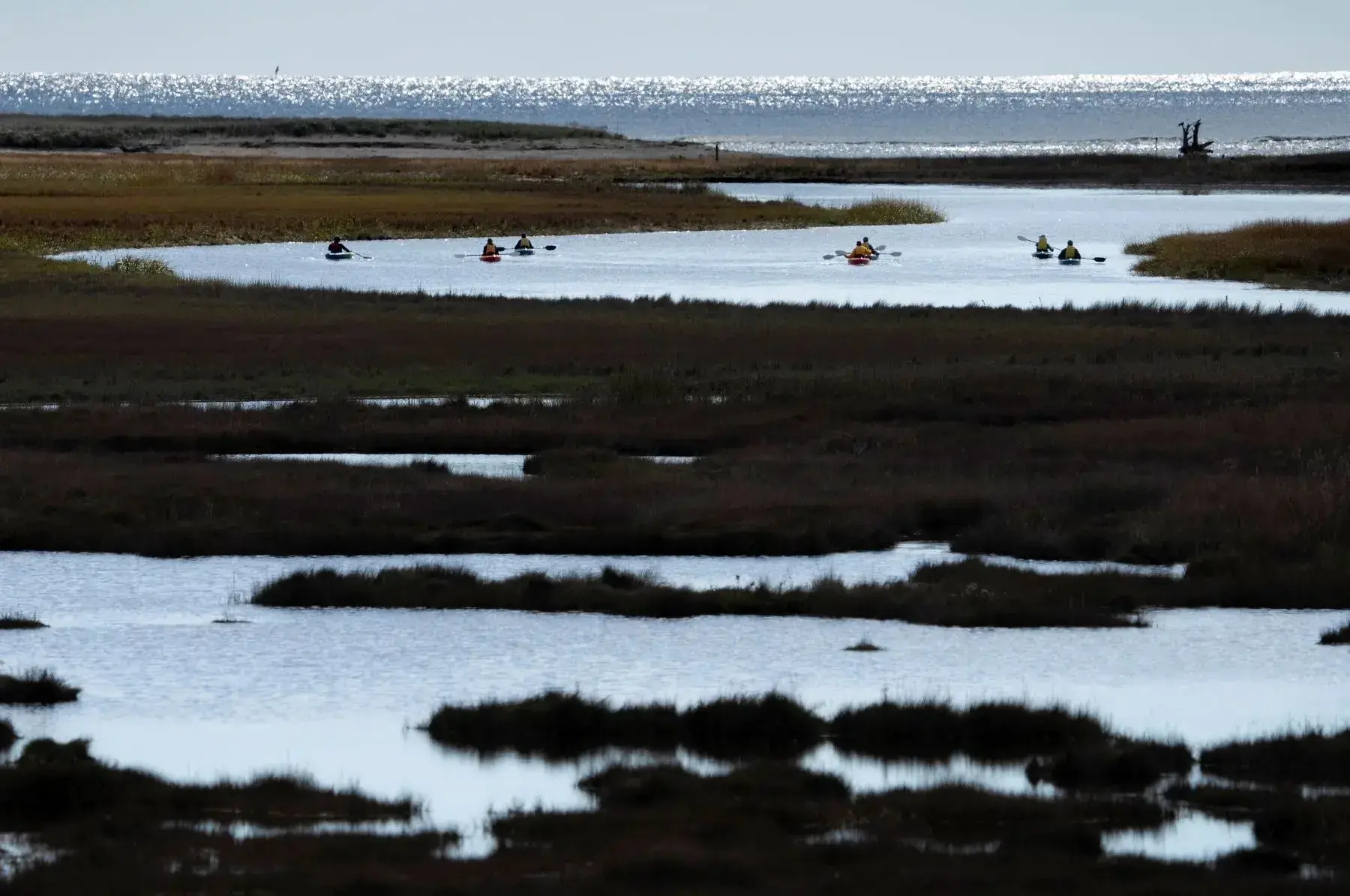 Sinking in Saltwater: Maine’s Coastal Marshes At Risk as Sea Levels ...