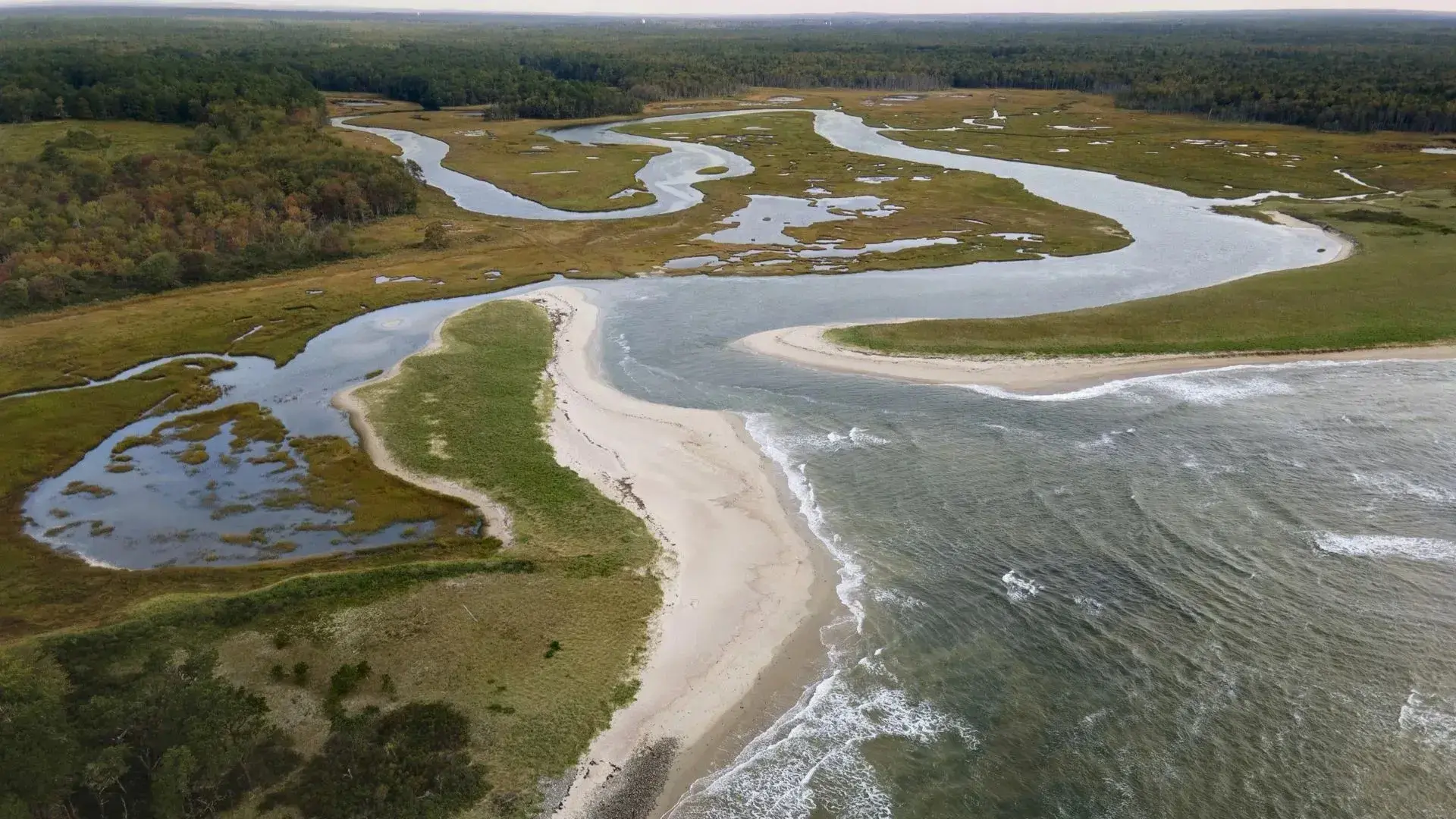 Sinking in Saltwater: Maine’s Coastal Marshes At Risk as Sea Levels ...