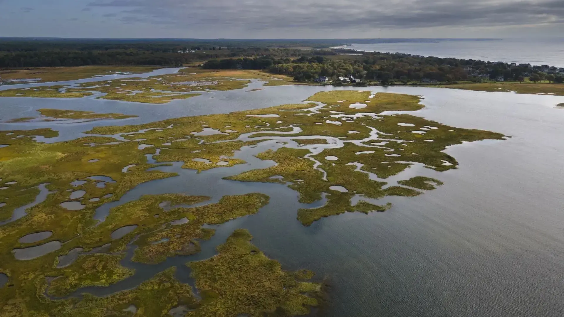 Sinking in Saltwater: Maine’s Coastal Marshes At Risk as Sea Levels ...